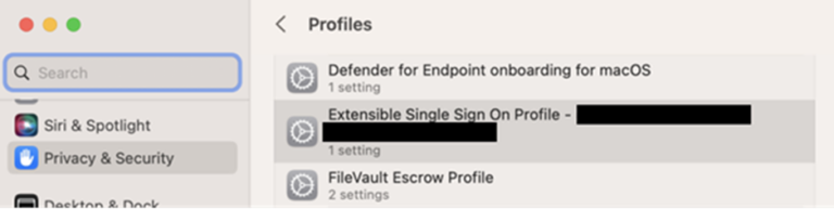 Configuring Enterprise SSO in Apple Devices | Practical365