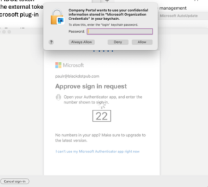 Using the Entra ID Enterprise SSO Plug-in on macOS | Practical365