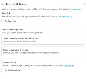 Practical Copilot: Creating a Declarative Agent | Practical365
